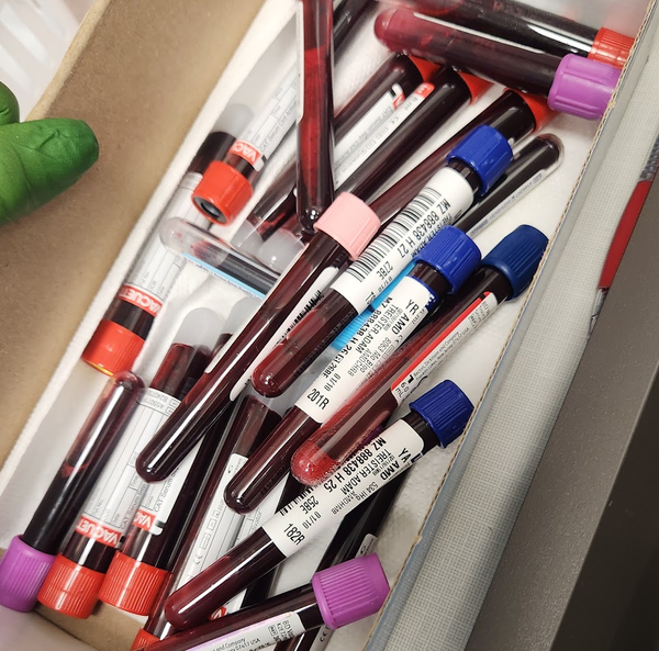 Function Health Review (2025): Expanded Testing, My Results, Biological ...